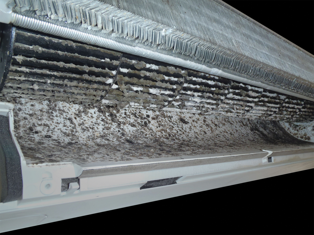 Mold and AC – MoldTesting RI